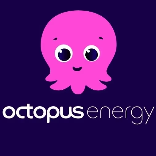 Octopus Energy: Promo Octopus Energy, Seleziona La Tariffa Più Adatta A ...